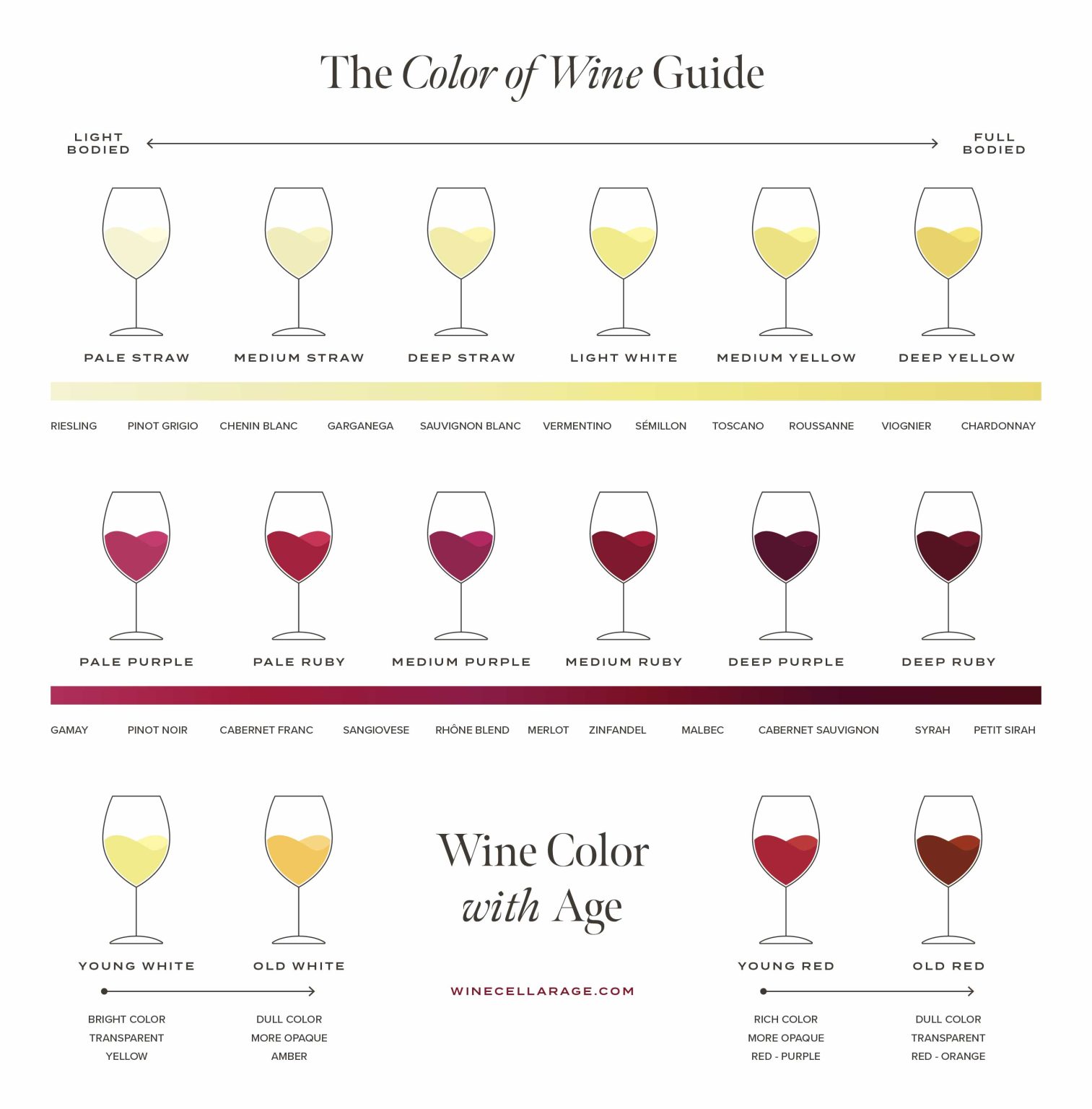 A Guide to The Color of Wine (and what it can tell you) - The Wine ...