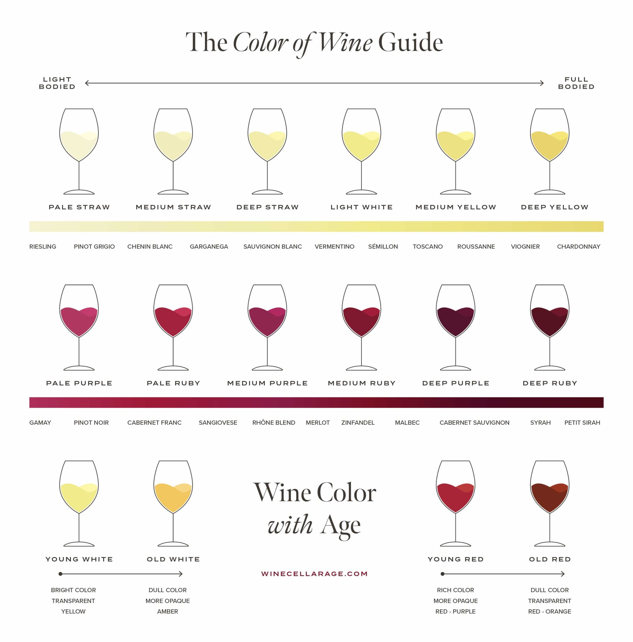 A Guide To The Color Of Wine And What It Can Tell You The Wine Cellarage