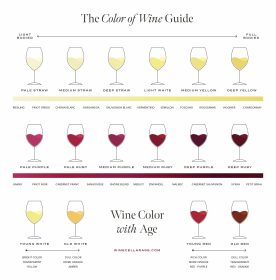 A Guide to The Color of Wine (and what it can tell you) - The Wine ...