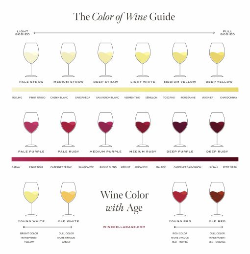 A Guide to The Color of Wine (and what it can tell you) - The Wine ...