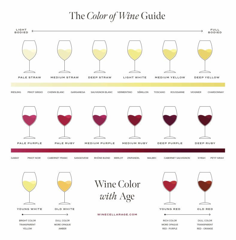 A Guide to The Color of Wine (and what it can tell you) - The Wine Cellarage